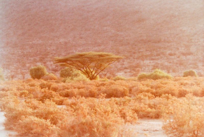 About Alina, Founder & Masai of Palm Beach – Masai of Palm Beach