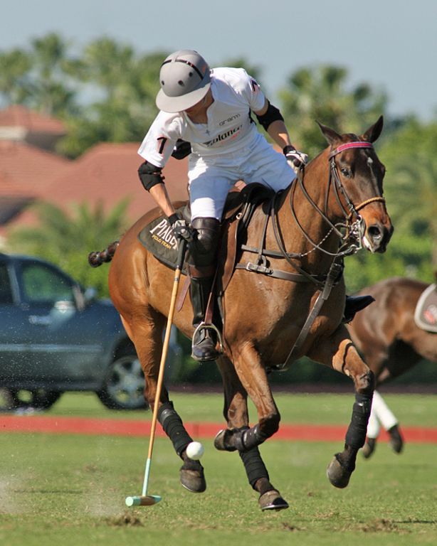 High Goal Polo Players | Masai of Palm Beach