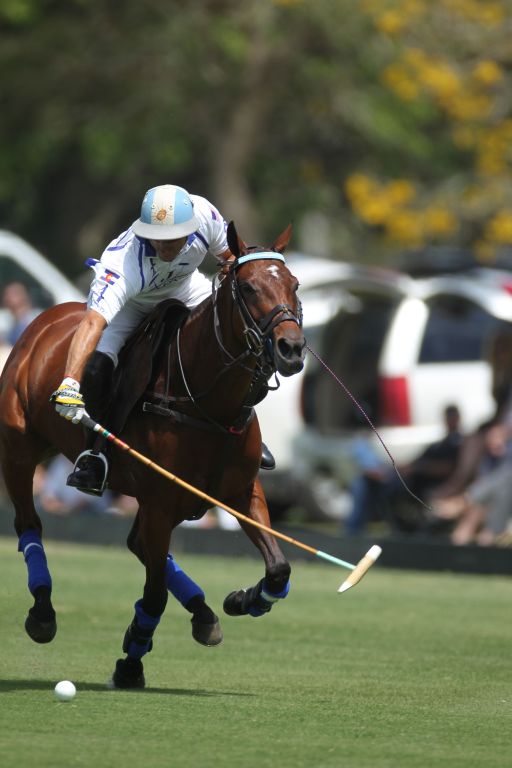 High Goal Polo Players | Masai of Palm Beach